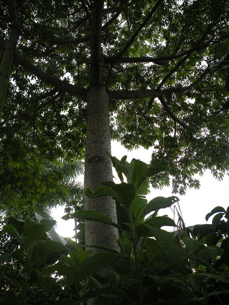 Photo Gallery - Hostal Casa Camacho at Havana, Cuba